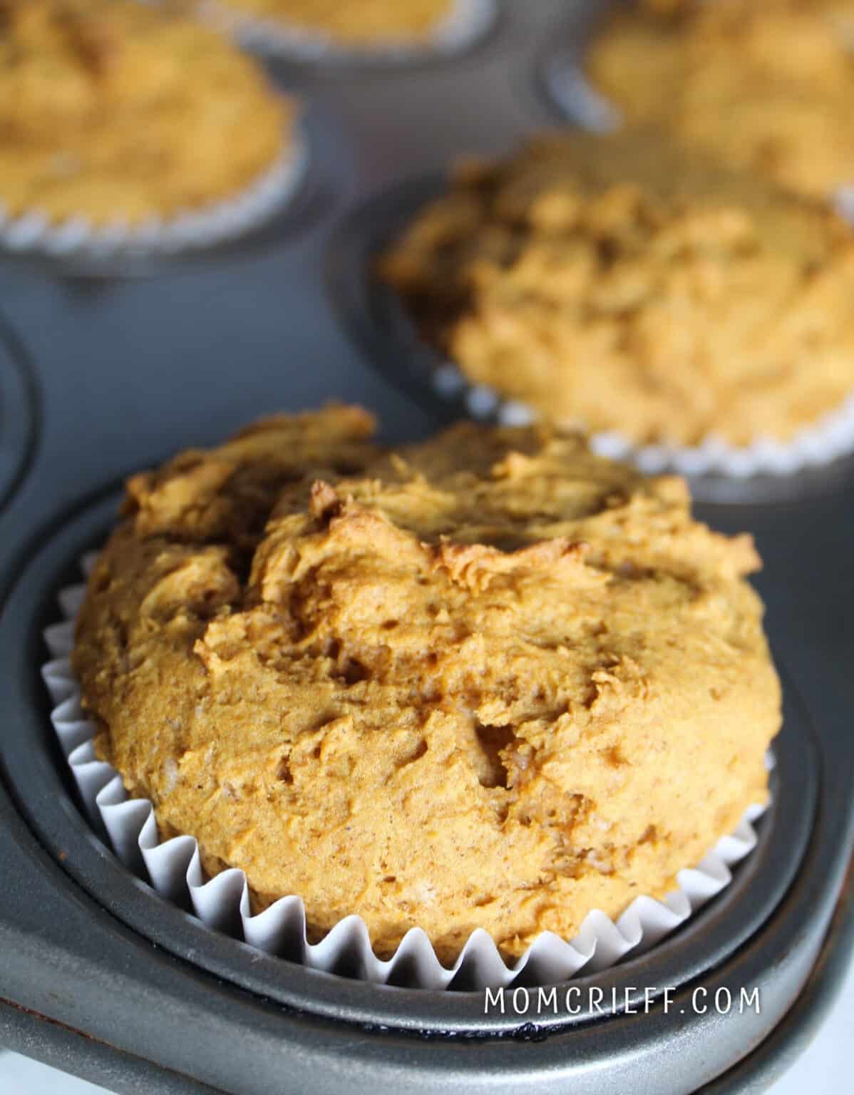 17 Easy Pumpkin Recipes (perfect for the fall) - Momcrieff