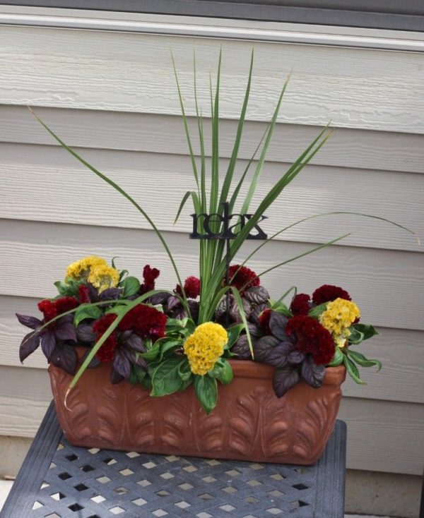 31 Outdoor Planter Ideas That Will Brighten Your Porch or Patio - Momcrieff