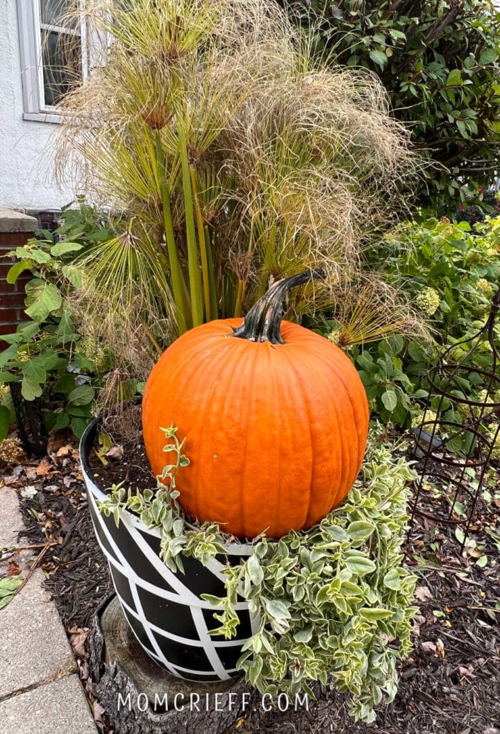 Pumpkin Planter - Momcrieff