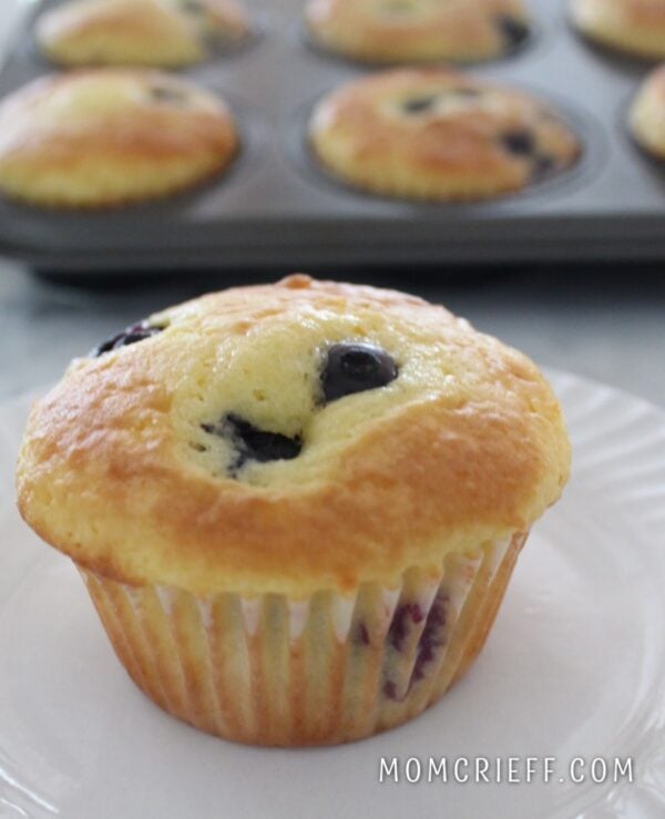 11 Easy Muffins Made with Cake Mix - Momcrieff