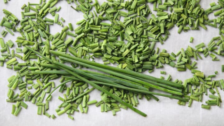 How do you Dry Chives? - Momcrieff