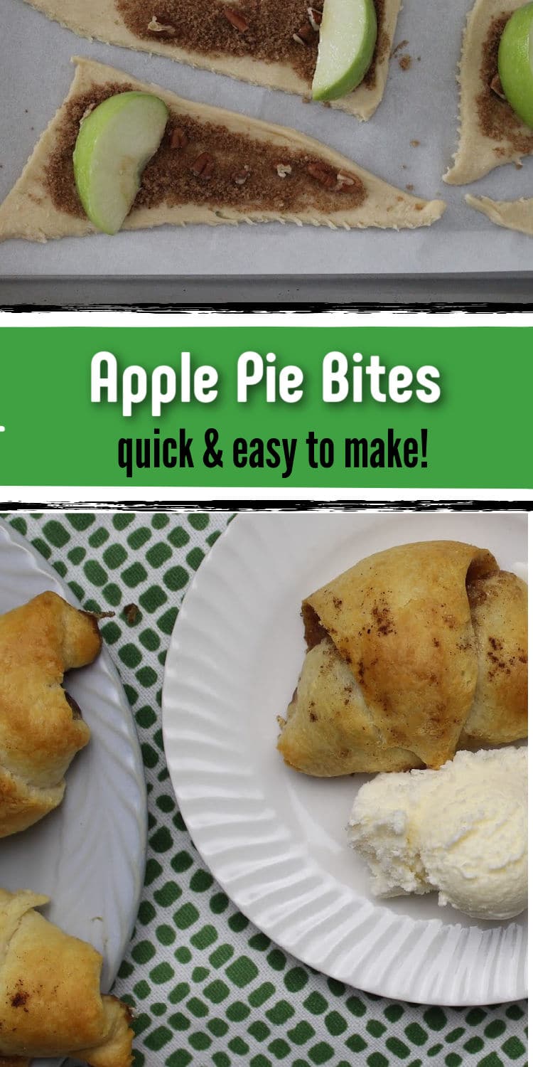 Apple Pie Bites - Momcrieff