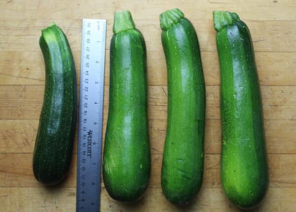 Easy Zucchini Pizza Boats - Momcrieff