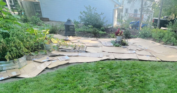 Cardboard Weed Barrier: A Simple, Chemical-Free Way to Stop Weeds ...