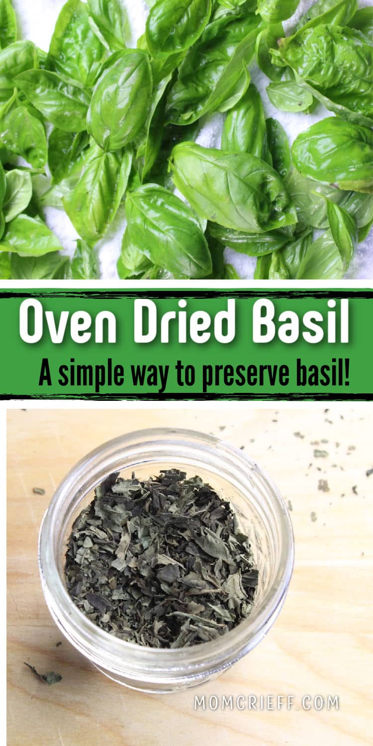 How to Dry Basil - Momcrieff