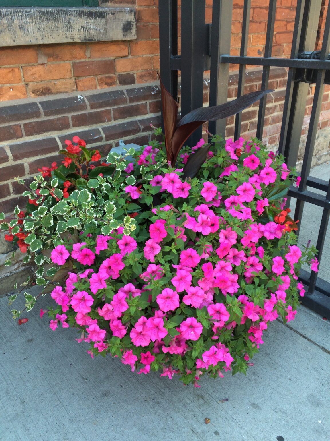 25+ Tall Outdoor Planters - Momcrieff